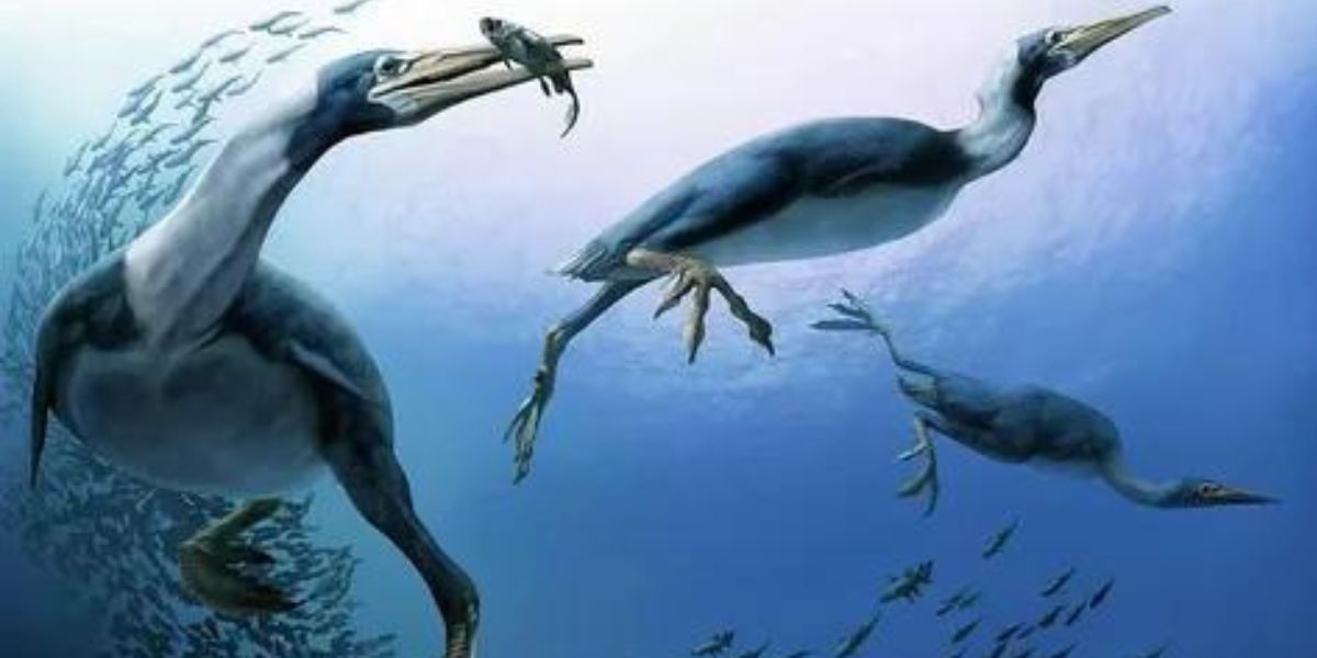 7 Unique Birds With Teeth: Discover Rare-Beaked Birds - nestingnetwork