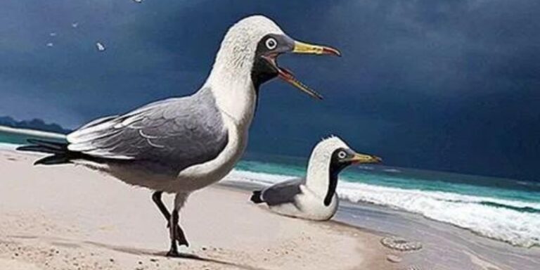 7 Unique Birds With Teeth: Discover Rare-Beaked Birds - nestingnetwork