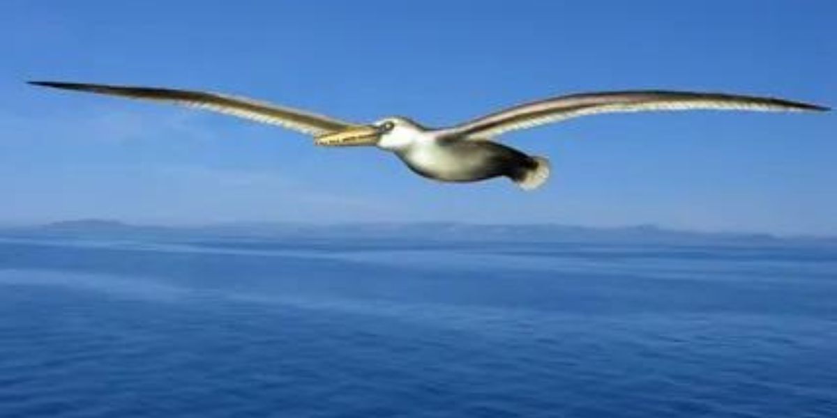 7 Unique Birds With Teeth: Discover Rare-Beaked Birds - nestingnetwork