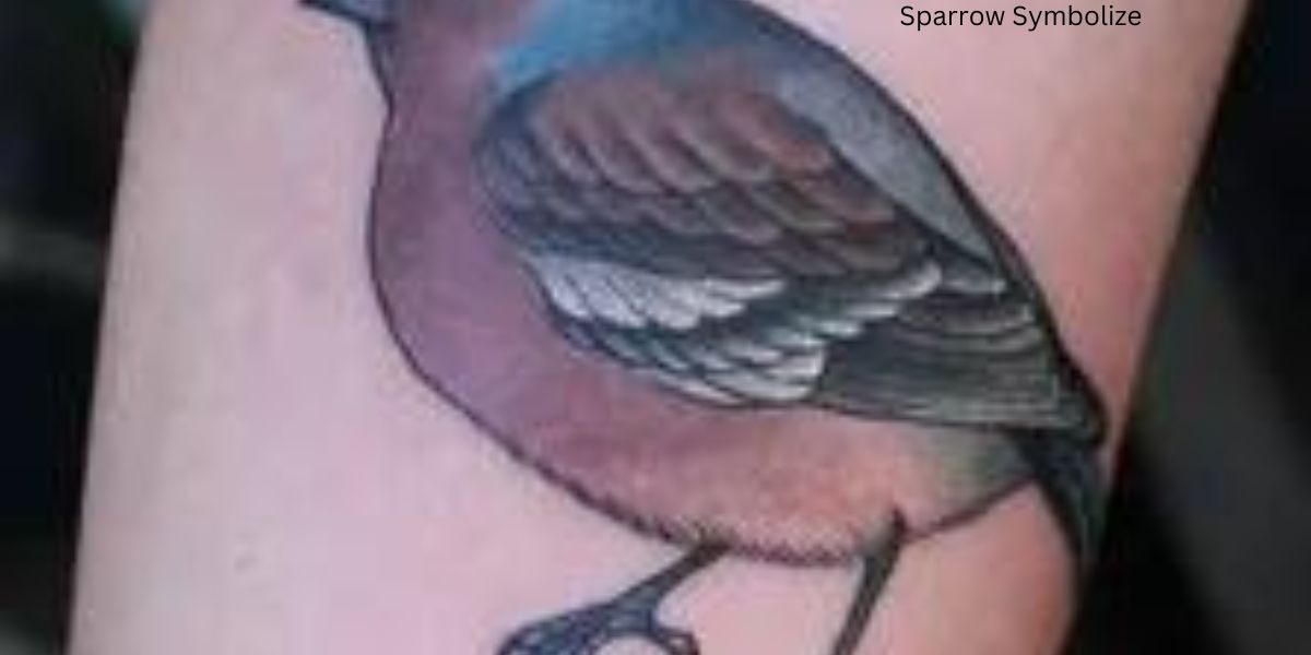 Sparrow Bird Tattoo Meaning: Symbolism & Significance - nestingnetwork